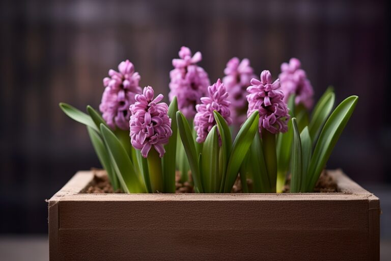 Les meilleures plantes vivaces pour jardinières toute l'année - Agence ...